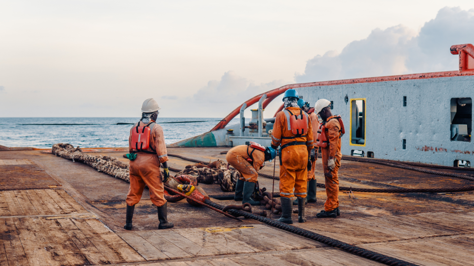 Flexible Riser Integrity Management System (FRIMS) - Velosi Integrity ...