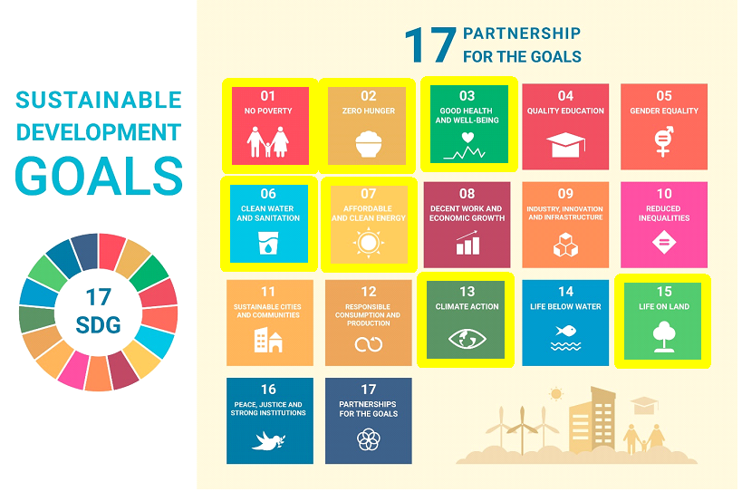 Environmental Impact Assessment - EIA - Sustainability Goals